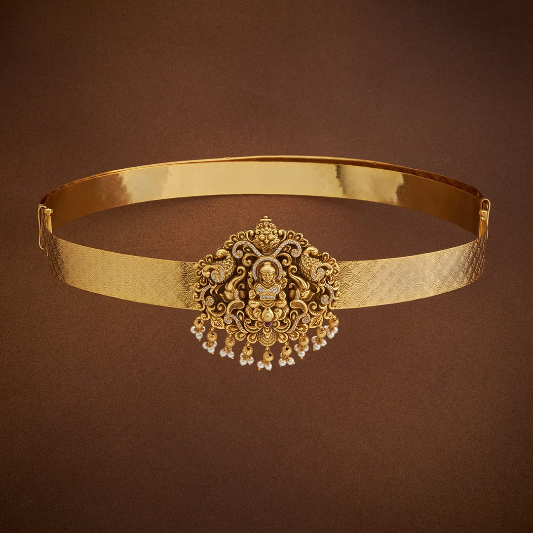 Beautiful Kardhan Designs | Traditional Kardhani Collection