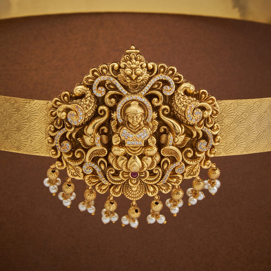 Beautiful Kardhan Designs | Traditional Kardhani Collection
